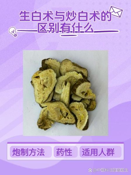 生白术的功效与作用_生白术和炒白术的区别-第1张图片-山城妙识 生白术的功效与作用_生白术和炒白术的区别-第1张图片-山城妙识