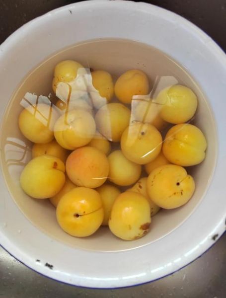 自制杏罐头怎么做_杏罐头能保存多久-第1张图片-山城妙识 自制杏罐头怎么做_杏罐头能保存多久-第1张图片-山城妙识