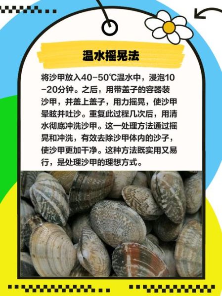 花甲怎么吐沙最快_花甲吐沙最干净的方法-第3张图片-山城妙识 花甲怎么吐沙最快_花甲吐沙最干净的方法-第3张图片-山城妙识