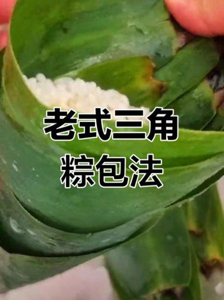 三角粽子怎么包_三角粽子慢动作教程-第1张图片-山城妙识 三角粽子怎么包_三角粽子慢动作教程-第1张图片-山城妙识