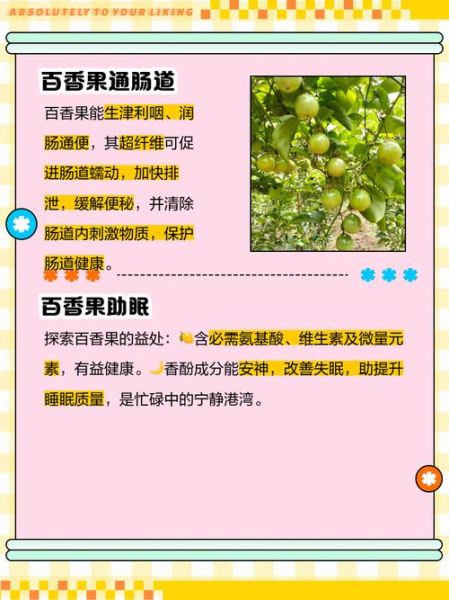 吃百香果有什么好处_百香果的功效与作用-第1张图片-山城妙识 吃百香果有什么好处_百香果的功效与作用-第1张图片-山城妙识