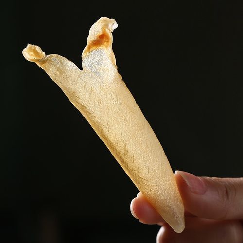 鱼肚花胶的功效与作用_孕妇可以吃花胶吗-第2张图片-山城妙识