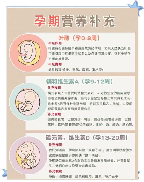胎儿偏小吃什么补得快_孕期营养怎么补-第2张图片-山城妙识 胎儿偏小吃什么补得快_孕期营养怎么补-第2张图片-山城妙识