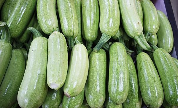 角瓜念什么_角瓜是西葫芦吗-第1张图片-山城妙识