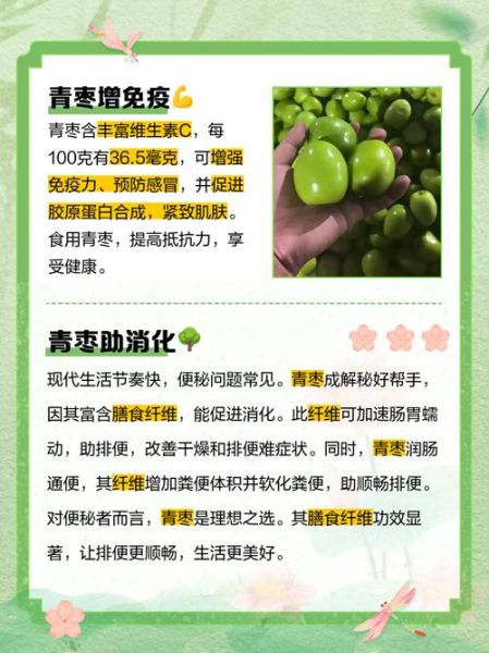 青枣子有什么功效_青枣子一天吃几个最好-第1张图片-山城妙识 青枣子有什么功效_青枣子一天吃几个最好-第1张图片-山城妙识
