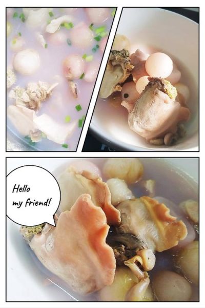 河蚌肉做汤怎么做好吃_河蚌汤去腥技巧-第3张图片-山城妙识 河蚌肉做汤怎么做好吃_河蚌汤去腥技巧-第3张图片-山城妙识