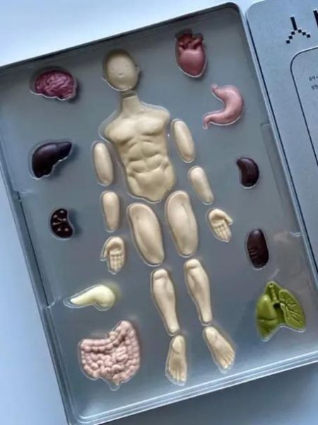 巧克力是男生哪个部位_男生巧克力部位叫什么-第1张图片-山城妙识 巧克力是男生哪个部位_男生巧克力部位叫什么-第1张图片-山城妙识