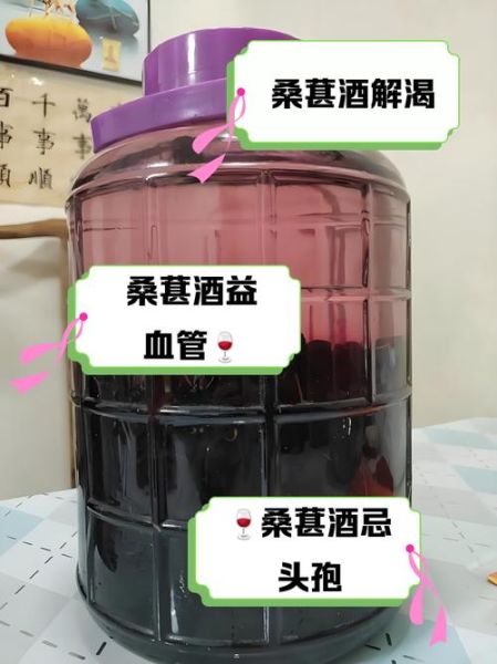 桑葚酒的功效与作用_桑葚酒适合什么人喝-第1张图片-山城妙识 桑葚酒的功效与作用_桑葚酒适合什么人喝-第1张图片-山城妙识