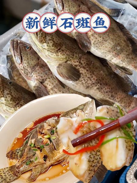 红烧石斑鱼怎么做_石斑鱼红烧步骤详解-第3张图片-山城妙识 红烧石斑鱼怎么做_石斑鱼红烧步骤详解-第3张图片-山城妙识