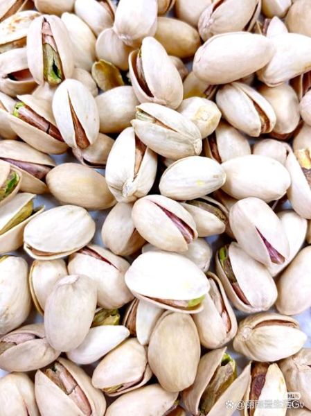 开心果的功效与作用_开心果营养价值高吗-第2张图片-山城妙识