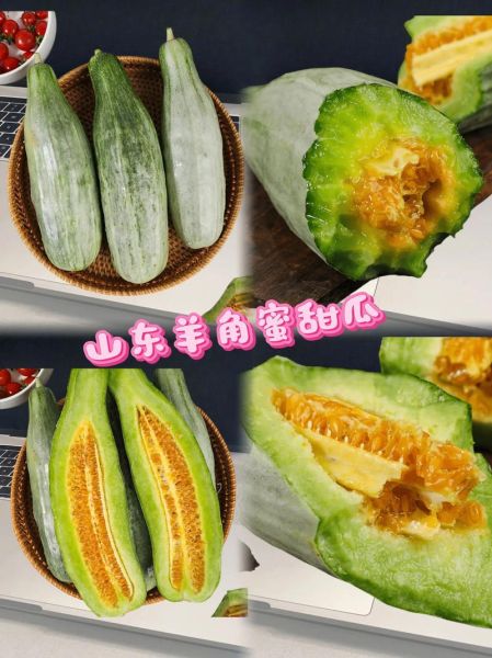 羊角蜜甜瓜的功效与作用_孕妇能吃吗-第2张图片-山城妙识