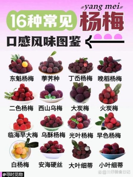 杨梅的功效与作用_杨梅的营养价值有哪些-第1张图片-山城妙识 杨梅的功效与作用_杨梅的营养价值有哪些-第1张图片-山城妙识