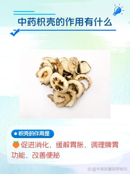 积壳功效与作用_积壳和枳壳一样吗-第1张图片-山城妙识 积壳功效与作用_积壳和枳壳一样吗-第1张图片-山城妙识