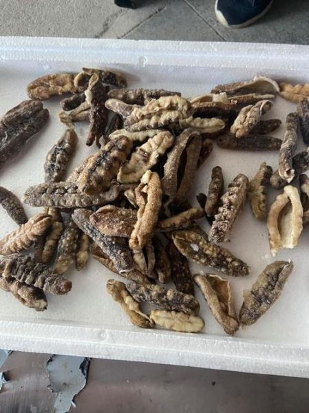 山东海参批发市场在哪里_山东海参批发价格行情-第1张图片-山城妙识