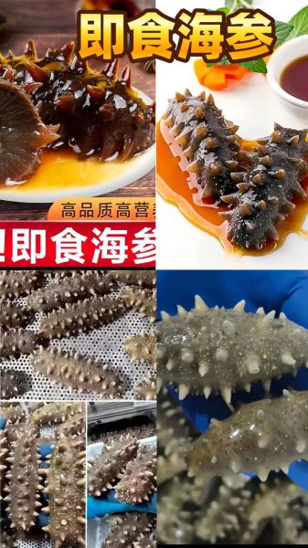 山东海参批发市场在哪里_山东海参批发价格行情-第3张图片-山城妙识