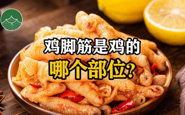 鸡脚筋是哪个部位_鸡脚筋图片位置在哪-第3张图片-山城妙识 鸡脚筋是哪个部位_鸡脚筋图片位置在哪-第3张图片-山城妙识