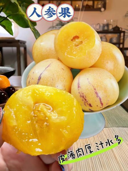 人参果怎么吃效果最好_人参果一天吃几个合适-第1张图片-山城妙识 人参果怎么吃效果最好_人参果一天吃几个合适-第1张图片-山城妙识