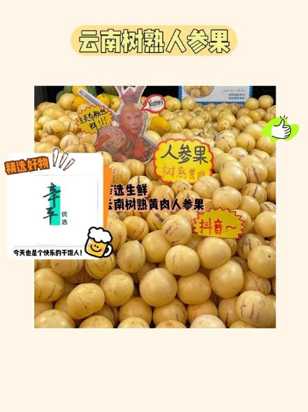 人参果怎么吃效果最好_人参果一天吃几个合适-第2张图片-山城妙识 人参果怎么吃效果最好_人参果一天吃几个合适-第2张图片-山城妙识