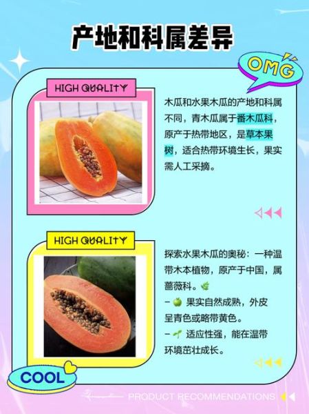 水果木瓜和木瓜的区别_木瓜和番木瓜一样吗-第1张图片-山城妙识 水果木瓜和木瓜的区别_木瓜和番木瓜一样吗-第1张图片-山城妙识
