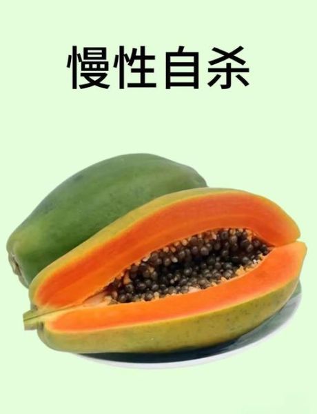 水果木瓜和木瓜的区别_木瓜和番木瓜一样吗-第2张图片-山城妙识 水果木瓜和木瓜的区别_木瓜和番木瓜一样吗-第2张图片-山城妙识