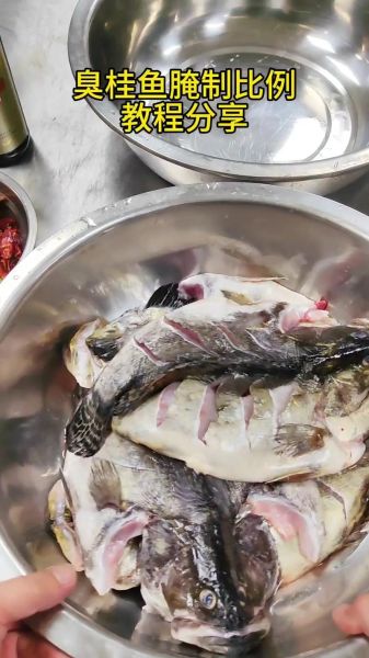 腌鲜鳜鱼怎么做_腌鲜鳜鱼图片长什么样-第2张图片-山城妙识