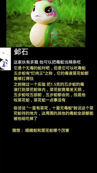 菜花蛇大战眼镜王蛇_谁更厉害-第1张图片-山城妙识