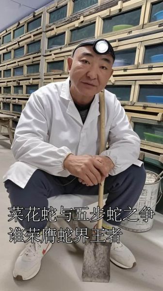 菜花蛇大战眼镜王蛇_谁更厉害-第2张图片-山城妙识