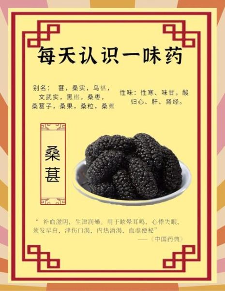 桑椹的副作用有哪些_桑椹吃多了会怎样-第1张图片-山城妙识 桑椹的副作用有哪些_桑椹吃多了会怎样-第1张图片-山城妙识