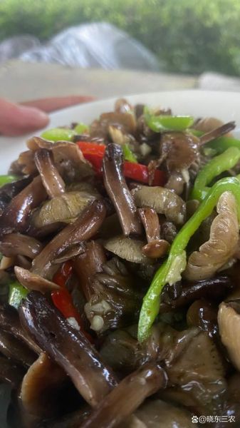 炒蘑菇不焯水会中毒吗_蘑菇焯水必要性-第1张图片-山城妙识 炒蘑菇不焯水会中毒吗_蘑菇焯水必要性-第1张图片-山城妙识