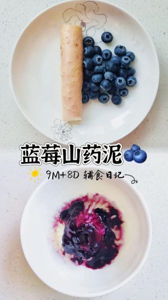 蓝莓山药辅食怎么做_宝宝能吃蓝莓山药吗-第3张图片-山城妙识 蓝莓山药辅食怎么做_宝宝能吃蓝莓山药吗-第3张图片-山城妙识