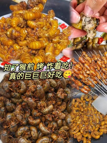 油炸冻知了猴怎么做_冷冻知了猴怎么炸才酥脆-第1张图片-山城妙识 油炸冻知了猴怎么做_冷冻知了猴怎么炸才酥脆-第1张图片-山城妙识