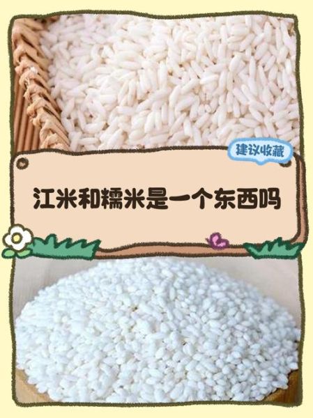 江米和糯米一样吗_江米和糯米的区别-第1张图片-山城妙识 江米和糯米一样吗_江米和糯米的区别-第1张图片-山城妙识