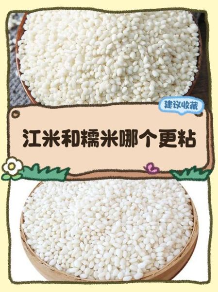 江米和糯米一样吗_江米和糯米的区别-第3张图片-山城妙识 江米和糯米一样吗_江米和糯米的区别-第3张图片-山城妙识