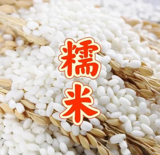 江米和糯米一样吗_江米和糯米的区别-第2张图片-山城妙识 江米和糯米一样吗_江米和糯米的区别-第2张图片-山城妙识