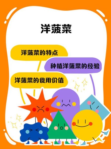 洋菠菜的功效与作用_洋菠菜怎么吃最营养-第1张图片-山城妙识