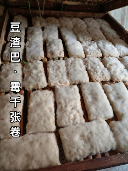 豆渣怎么处理_豆渣的妙用有哪些-第1张图片-山城妙识 豆渣怎么处理_豆渣的妙用有哪些-第1张图片-山城妙识