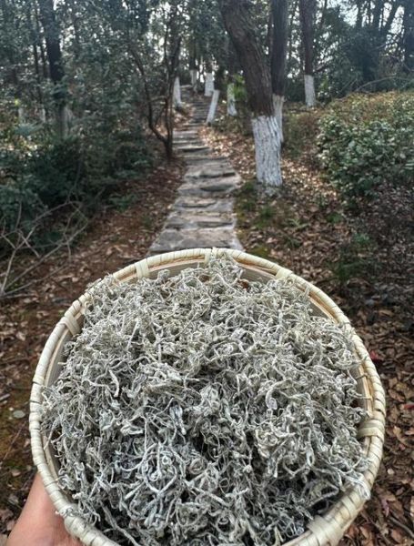 咳嗽偏方大全_哪些止咳土方真的有效-第2张图片-山城妙识 咳嗽偏方大全_哪些止咳土方真的有效-第2张图片-山城妙识