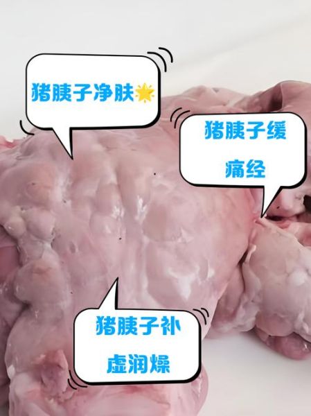 猪胰腺的功效与作用_猪胰腺怎么做好吃-第1张图片-山城妙识