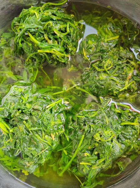 荠菜肉馅饺子怎么做_荠菜饺子馅要不要焯水-第2张图片-山城妙识 荠菜肉馅饺子怎么做_荠菜饺子馅要不要焯水-第2张图片-山城妙识