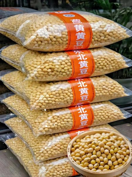 现在黄豆多少钱一斤_黄豆价格走势2024-第2张图片-山城妙识 现在黄豆多少钱一斤_黄豆价格走势2024-第2张图片-山城妙识