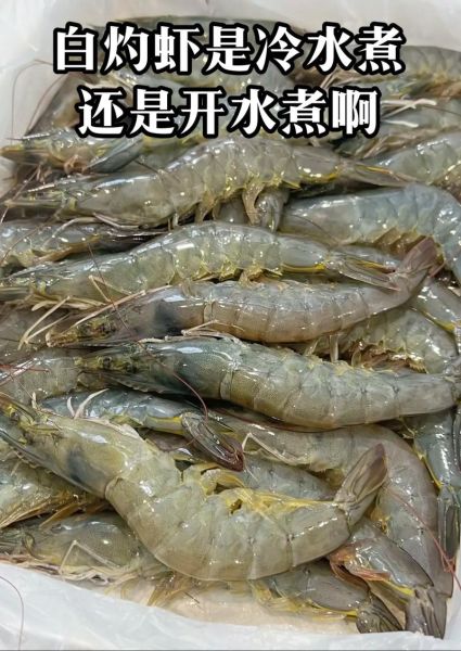 水煮虾煮几分钟好吃_水煮虾最佳时间-第2张图片-山城妙识 水煮虾煮几分钟好吃_水煮虾最佳时间-第2张图片-山城妙识