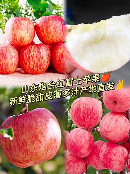 红富士苹果为什么甜_红富士苹果产地在哪里-第1张图片-山城妙识 红富士苹果为什么甜_红富士苹果产地在哪里-第1张图片-山城妙识