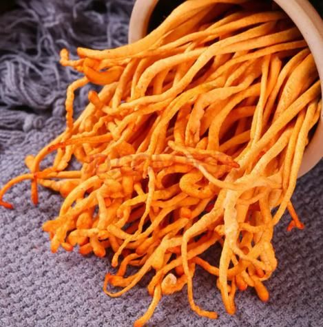 虫草花是什么东西_虫草花是冬虫夏草吗-第2张图片-山城妙识