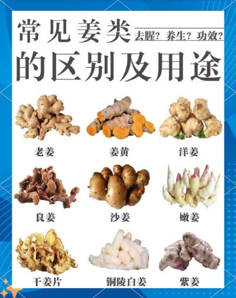 洋姜和生姜的区别_洋姜可以代替生姜吗-第3张图片-山城妙识