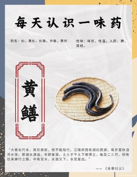 孩子能吃黄鳝吗_黄鳝对孩子的危害有哪些-第3张图片-山城妙识 孩子能吃黄鳝吗_黄鳝对孩子的危害有哪些-第3张图片-山城妙识