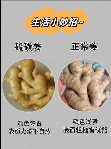 洋姜和生姜的区别_洋姜可以代替生姜吗-第1张图片-山城妙识