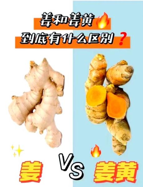 洋姜和生姜的区别_洋姜可以代替生姜吗-第2张图片-山城妙识