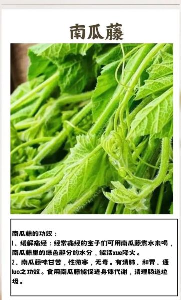 南瓜藤的副作用有哪些_南瓜藤吃多了会怎样-第1张图片-山城妙识