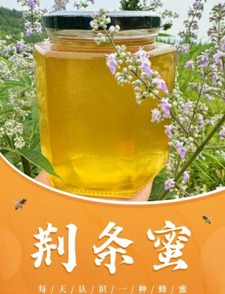 荆条蜜的作用与功效_荆条蜜适合什么人吃-第1张图片-山城妙识 荆条蜜的作用与功效_荆条蜜适合什么人吃-第1张图片-山城妙识