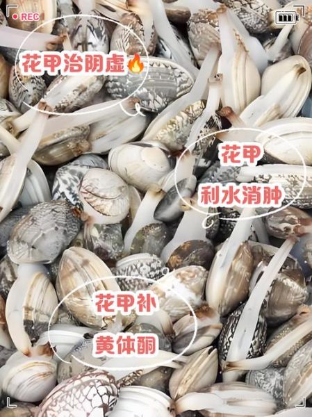 花甲肉里面的黑的要不要清理_花甲黑膜怎么去除-第3张图片-山城妙识 花甲肉里面的黑的要不要清理_花甲黑膜怎么去除-第3张图片-山城妙识